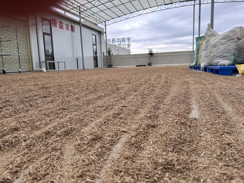 Fornitore cinese verificato - Foshan Jieshang Trading Co., Ltd