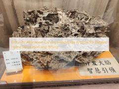 Unique luxury Chinese Agarwood Incense For Christmas Decorations