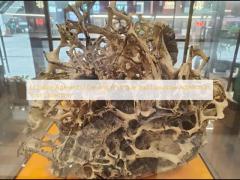 Exquisite Agarwood Carving A Unique and Luxurious Addition to Your Collection