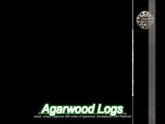aromatherapy agarwood timber wood the ultimate woody fragrance experience