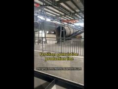 granulating process organic fertilizer production line green color stable operation