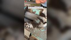 Organic Fertilizer Making Extrusion Granulator for Chicken Manure
