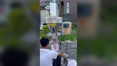 Precision Small Bag Packaging Machine for Organic & Compound Fertilizer
