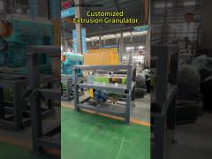 Stainless Dust Guard & Visual Window Design Custom Roll Compactor Granulator