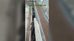 High Molding Rate Organic Fertilizer Disc Production Line