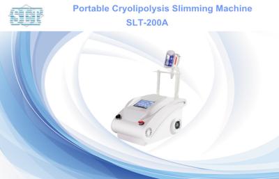 Cina Laser portatile Cryolipolysis di Lipo del diodo 650nm che dimagrisce macchina per rimozione del grasso della pancia in vendita