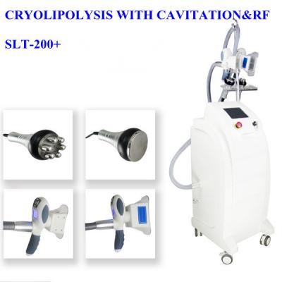 Cina Cavitazione ultrasonica rf che dimagrisce macchina/l'attrezzatura grassa riduzione di Coolshape Cryolipolysis in vendita