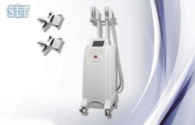 Cina Macchina grassa scolpente fresca di rimozione di Cryolipolysis per il contorno/perdita di peso del corpo in vendita