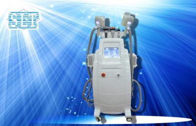 Cina Cryolipolysis Non chirurgico che dimagrisce macchina per riduzione facciale celluliti/dell'ascensore in vendita