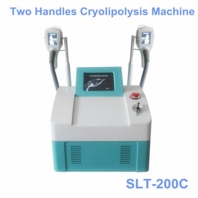 Cina Ente non invadente di Coolshaping che scolpisce macchina, congelamento grasso di Cryolipolysis di crioterapia in vendita