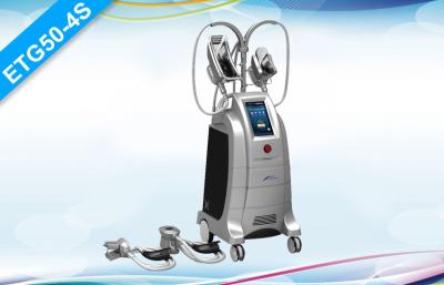 Cina Quattro maniglie Cryolipolysis che dimagrisce macchina, attrezzatura scolpente fresca ETG50-4S di Zeltiq in vendita