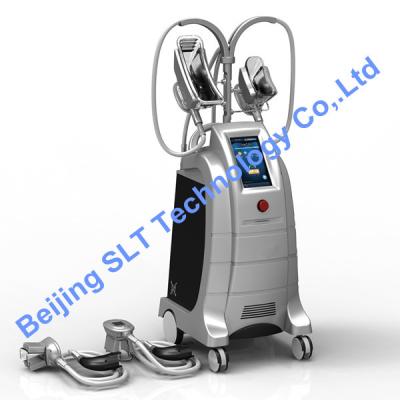 Cina Macchina di congelamento grassa scolpente fresca di crioterapia, Cryolipolysis che dimagrisce attrezzatura in vendita