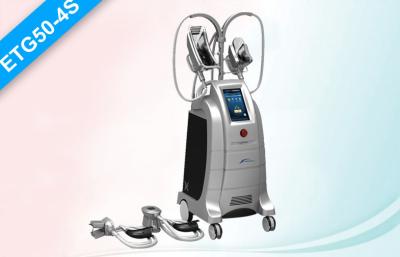 Cina Vuoto Cryolipolysis che non dimagrisce macchina/attrezzatura grassa di rimozione di Coolsculpting di tempo morto in vendita