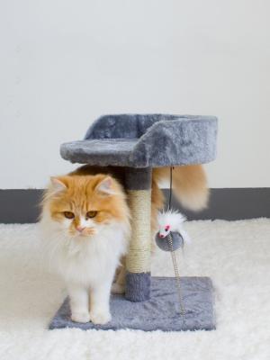 中国 34cmのポストを傷付けている相互サイザルアサ猫 販売のため
