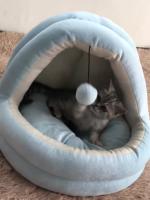 China PP Cotton Removable Plush Pet Beds for sale