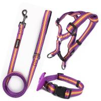 China Eco Friendly Bowtie Reflective Polyester Dog Collar for sale