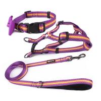 China Eco Friendly Bowtie Reflective Polyester Dog Collar for sale