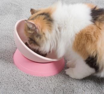 Cina Anti ciotola regolabile dell'animale domestico di slittamento 16*7cm di alta qualità in vendita