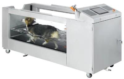 Cina Velocità della pedana mobile di idroterapia dell'acqua del cane dello SGS 3HP regolabile in vendita