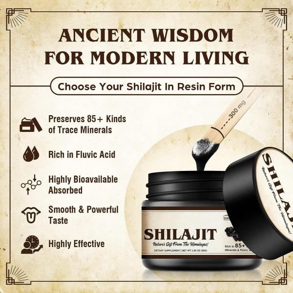 Quality Pure Shilajit Resin Immune Support Pills Natural Herbal Supplement From for sale