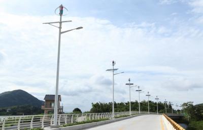 China Maglev Vawt Wind Turbine Solar Wind Street Light for Highway Road Lighting for sale