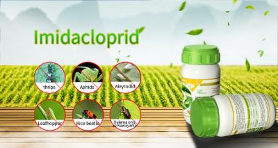 中国 Cas 138261-41-3 Imidacloprid 20%SLの殺虫剤プロダクト殺害のMealy虫 販売のため