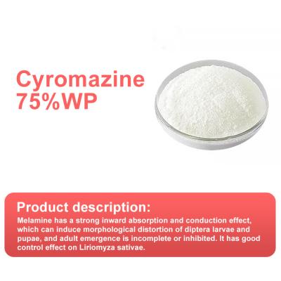 Cina Insetticida di ciromazina 75%WP per i minatori di foglia CAS nessun 66215-27-8 in vendita