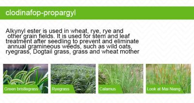 China Herbicide Clodinafop-Propargyl 24%EC CAS No 105512-06-9 for sale