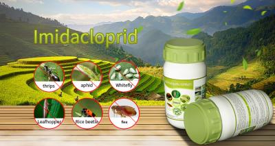Cina Antiparassitari organici CAS dello Sc di imidacloprid 35% nessun 138261-41-3 in vendita