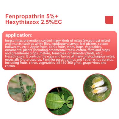 Cina Acaricida sistemico non degli antiparassitari commerciali di Hexythiazox 10%WP in vendita