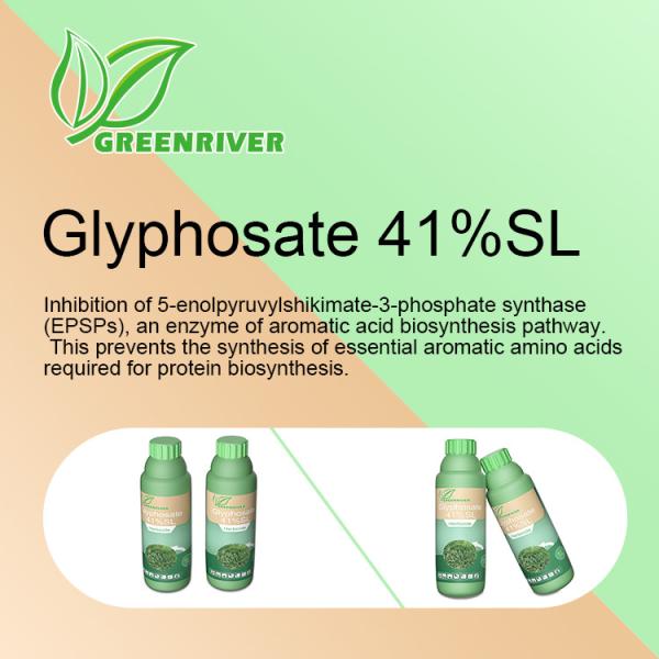 Quality Selective Herbicides Glyphosate 41%SL Weed Killer for sale