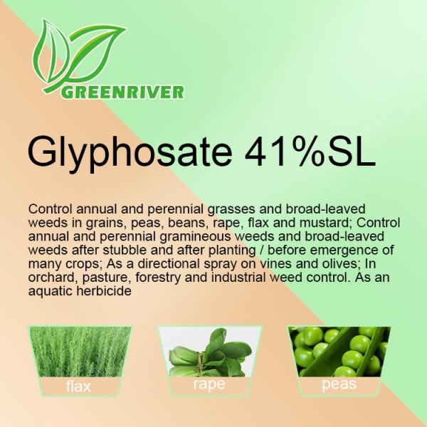 Quality Selective Herbicides Glyphosate 41%SL Weed Killer for sale