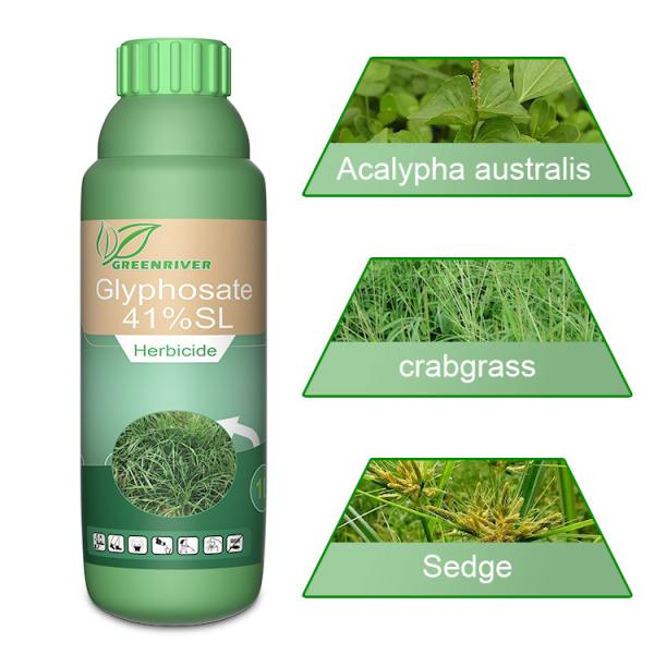 Quality Selective Herbicides Glyphosate 41%SL Weed Killer for sale