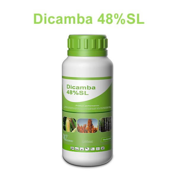 Quality Dicamba 48% SL Roundup Herbicide Kill Broad Keaved Weeds for sale