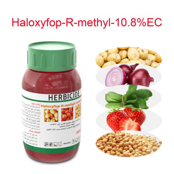 Quality Liquid Safe Herbicide Haloxyfop R Methyl Weed Killer For Vegetable Gardens for sale
