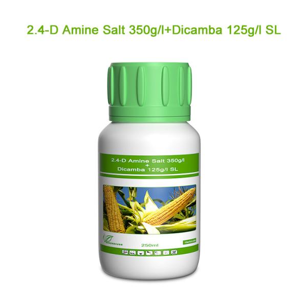 Quality Dicamba / Triasulfuron Selective Herbicides cas 1918-00-9 / 82097-50-5 for sale