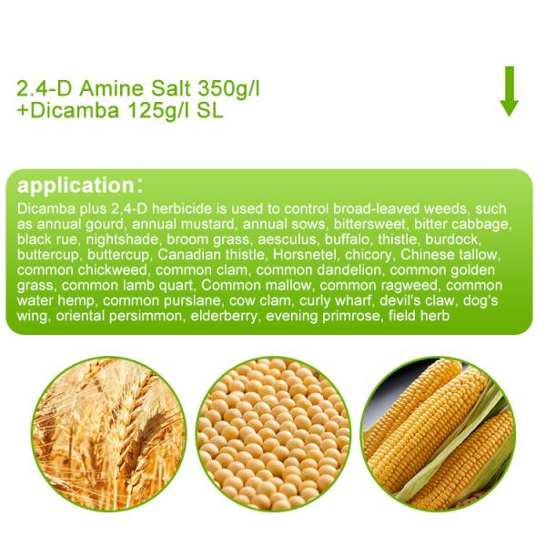 Quality Dicamba / Triasulfuron Selective Herbicides cas 1918-00-9 / 82097-50-5 for sale