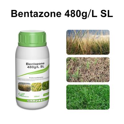 China herbicida seletivo do contato herbicidas/25057-89-0 de 48%SL Bentazone para amendoins à venda
