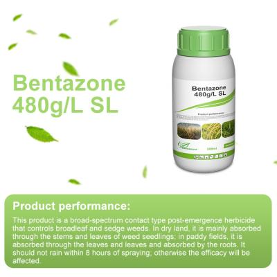 China herbicida seletivo do contato herbicidas/25057-89-0 de 48%SL Bentazone para amendoins à venda