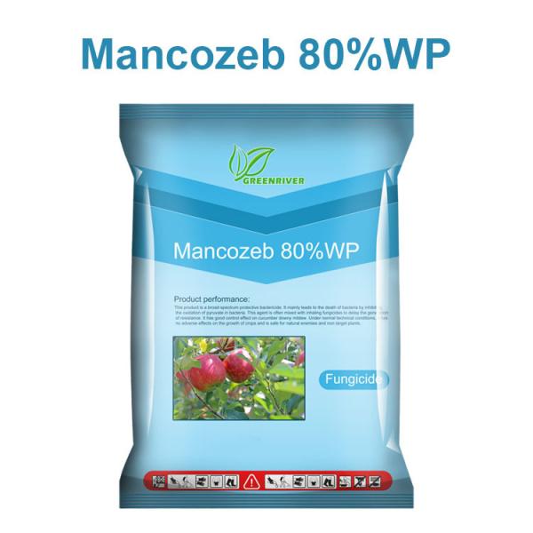 Quality Mancozeb 80%WP Plant Fungicide CAS 8018-01-7 for sale