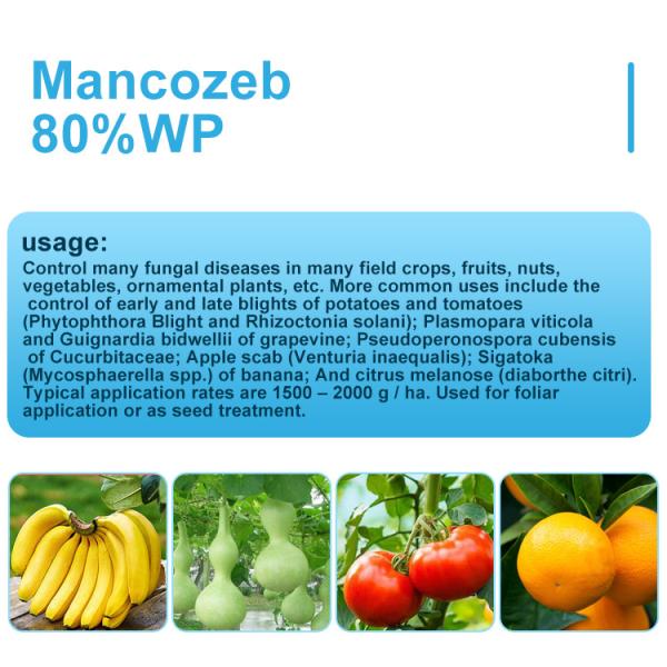 Quality Mancozeb 80%WP Plant Fungicide CAS 8018-01-7 for sale