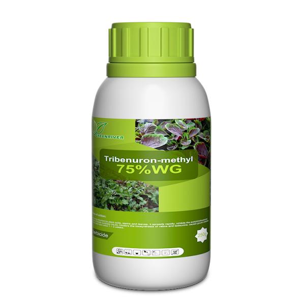 Quality 101200-48-0 Tribenuron Methyl Selective Herbicides For Maize , White powder for sale