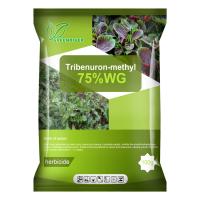 Quality 101200-48-0 Tribenuron Methyl Selective Herbicides For Maize , White powder for sale