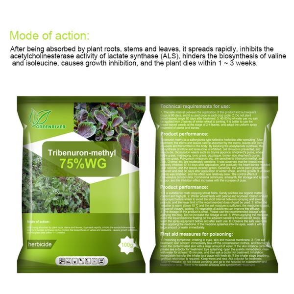 Quality 101200-48-0 Tribenuron Methyl Selective Herbicides For Maize , White powder for sale