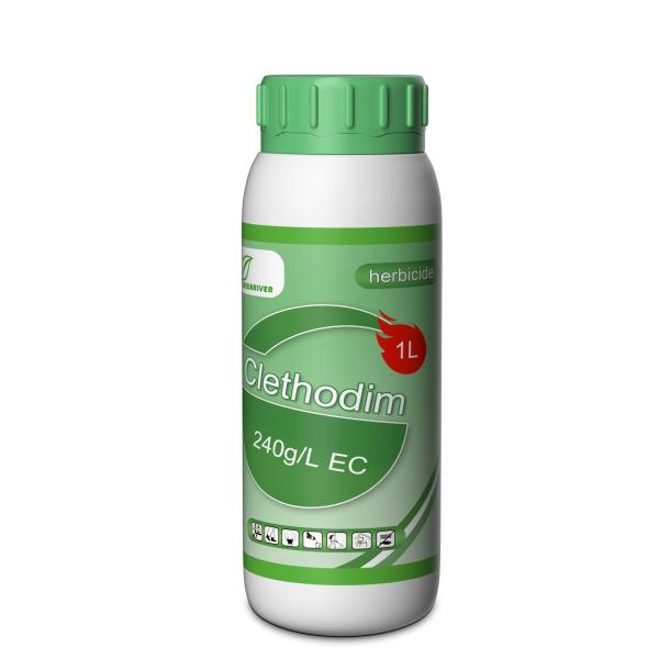 Quality Clear / amber liquid Selective Herbicides Clethodim 24%EC for soya beans , flax for sale
