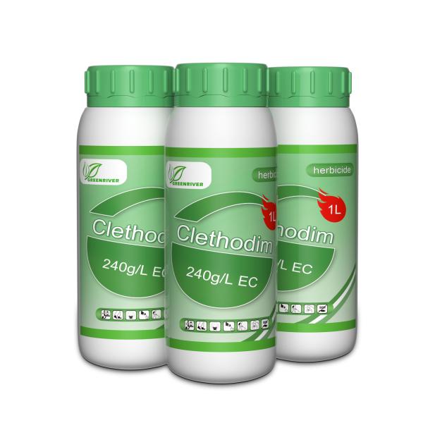 Quality Clear / amber liquid Selective Herbicides Clethodim 24%EC for soya beans , flax for sale