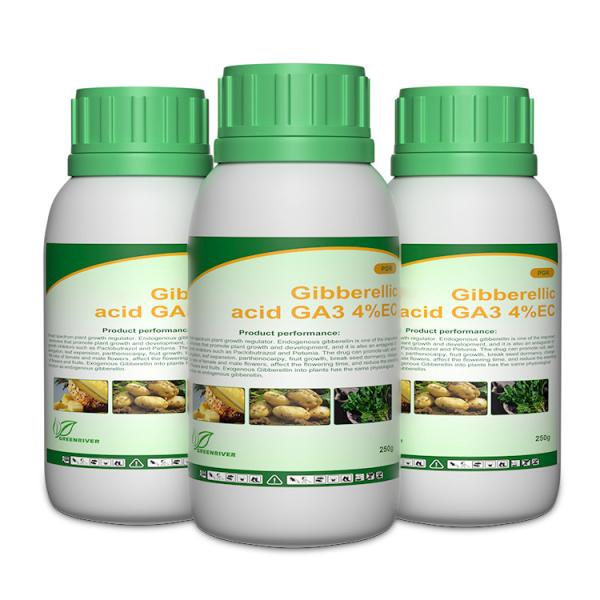 Quality CAS 77-06-5 Gibberllin Bonzi Plant Growth Regulator in seed potatoes for sale