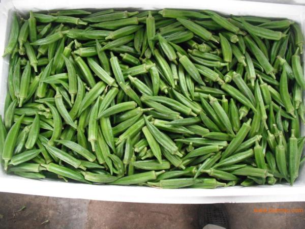 Quality Yellow Okra seeds / ladies finger seeds with FDA Certificate for sale