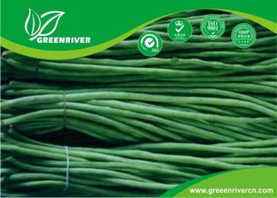 Cina Semi di lunghezza del fagiolo dell'iarda organica verde commerciale con carne spessa in vendita