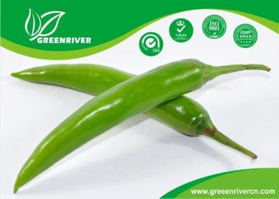 China Hybride de zadenf1 Fruit van de typegroene paprika, 20-23 cm lengte Te koop